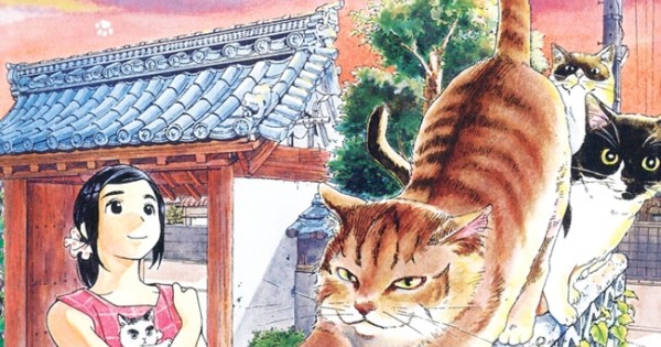 Chion And The Cat Temple 05