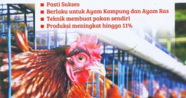 7 JURUS SUKSES BETERNAK AYAM PETELUR